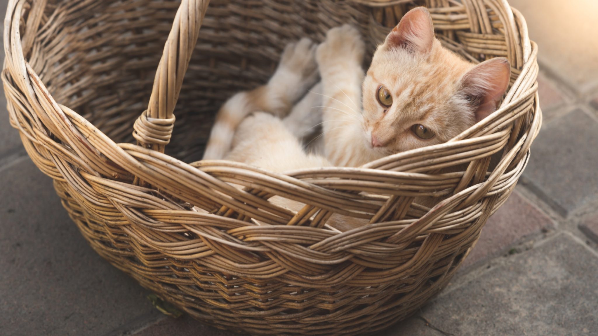 What are the 4 types of baskets ? | Wicker Basket