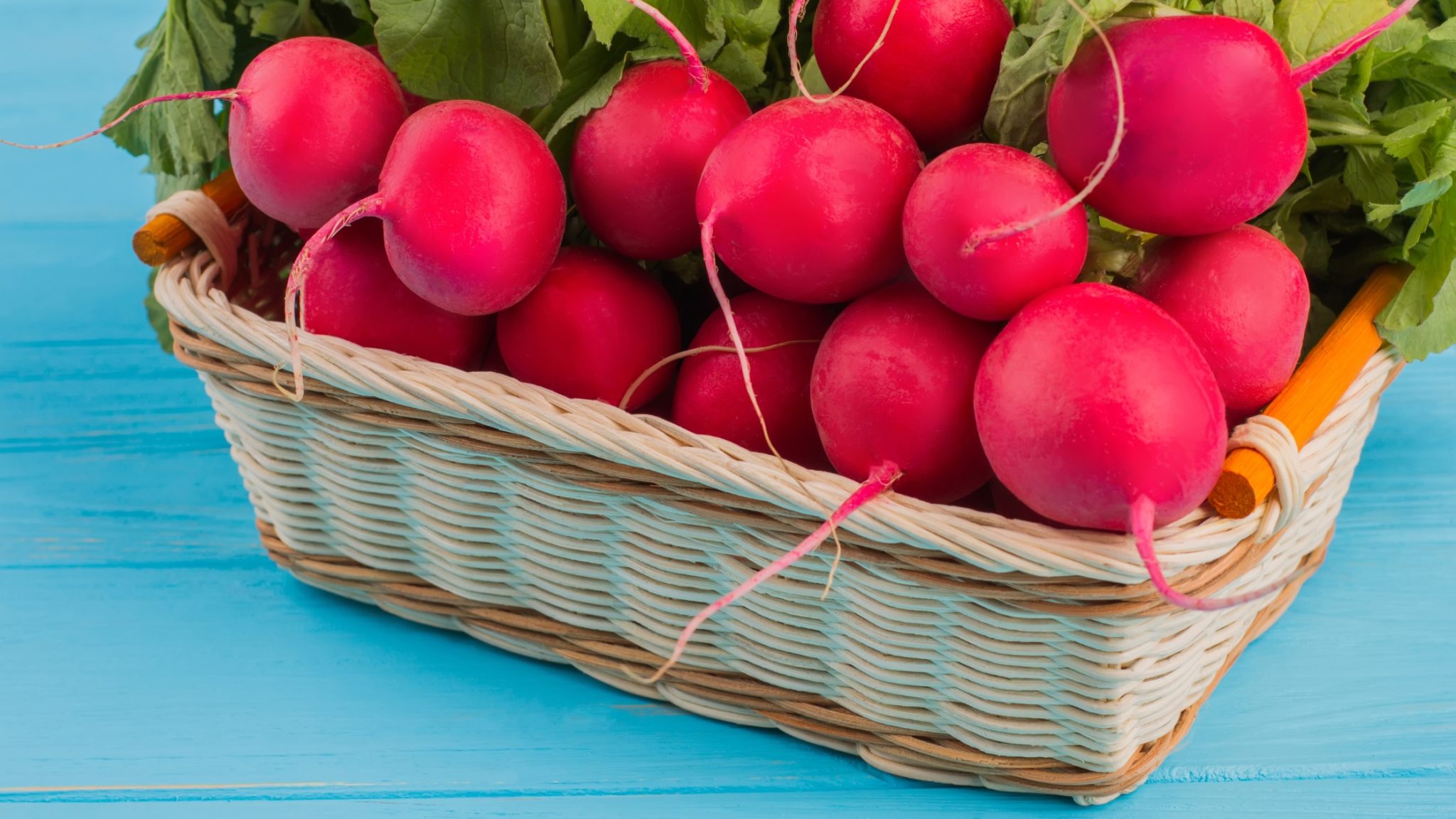 What are the 4 types of baskets ? | Wicker Basket
